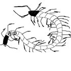 「THE NEET EP」 | milkypossum