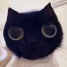 AESTHETICADELICA | BLOODbath64 | TV Girl