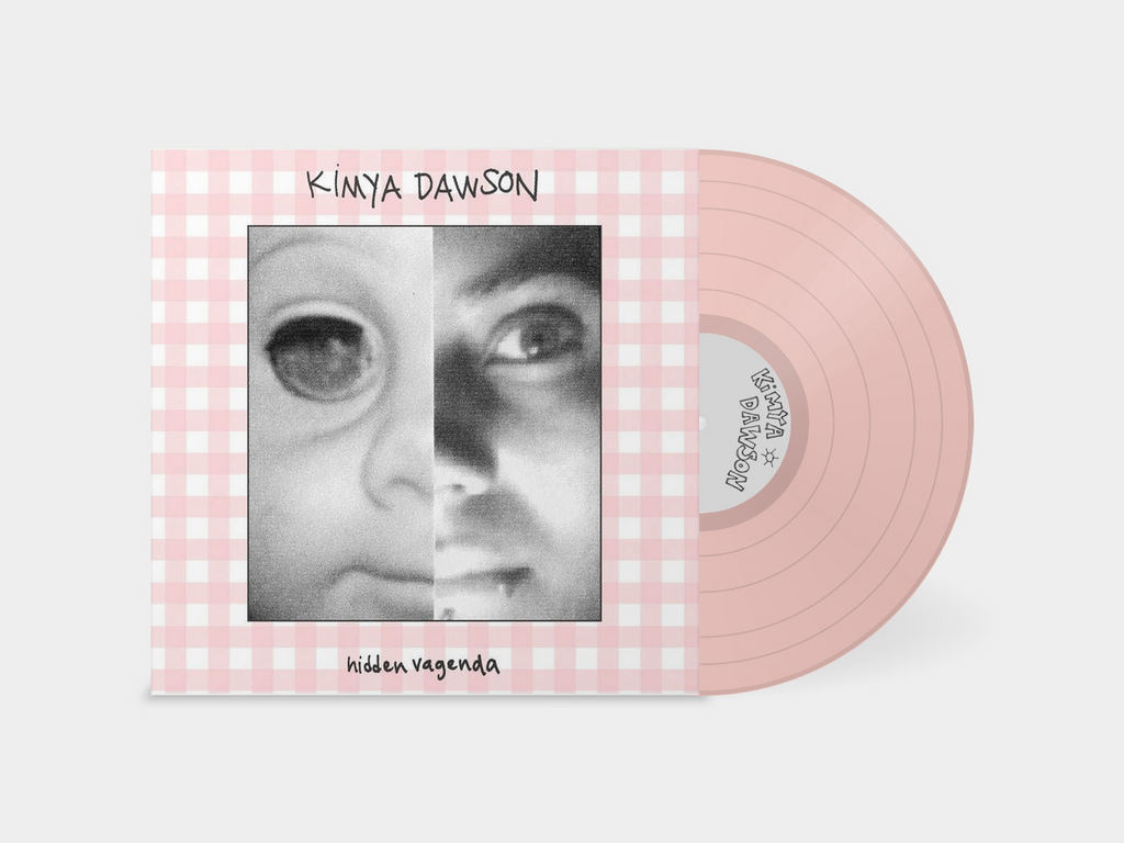 Hidden Vagenda – Vinyl Campaign | Kimya Dawson