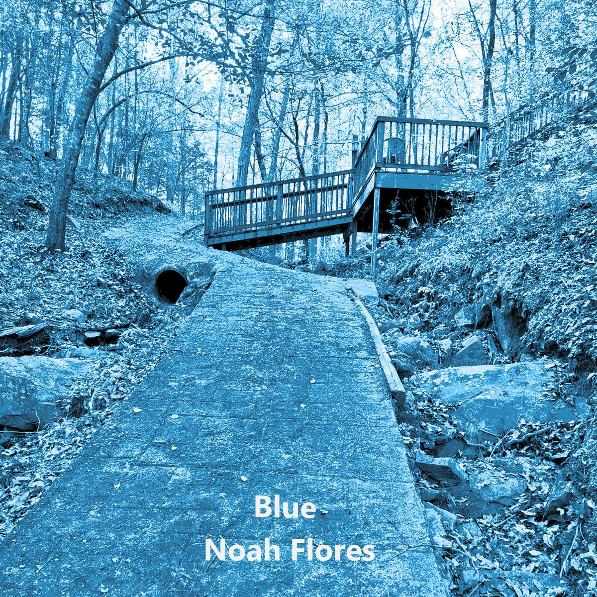 Music | Noah Flores