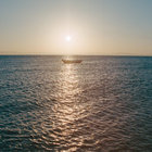 Permaculture (组织胜过时间) | modest by default