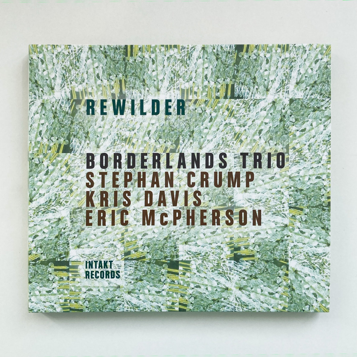 Rewilder | BORDERLANDS TRIO with Stephan Crump, Kris Davis, Eric ...