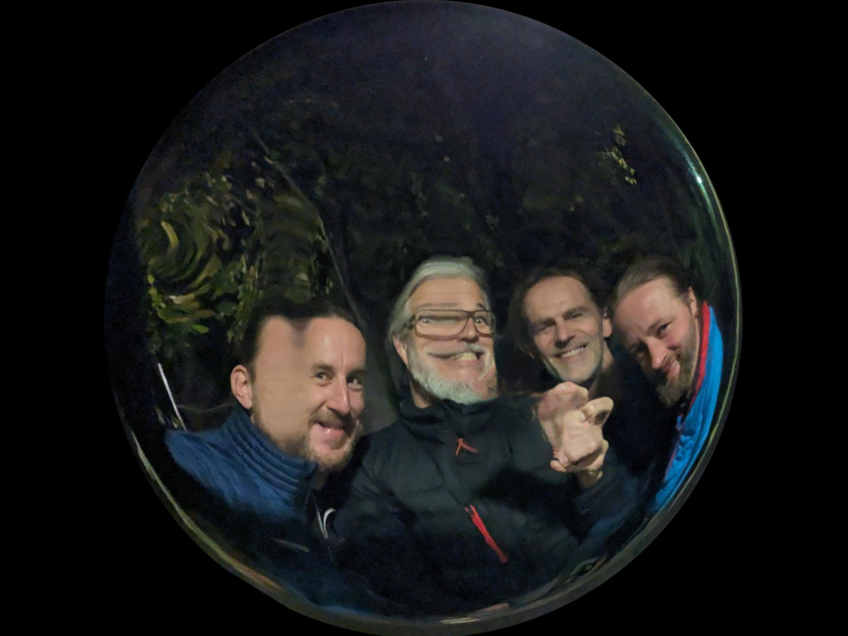 Flamingo | Holistic Hobos