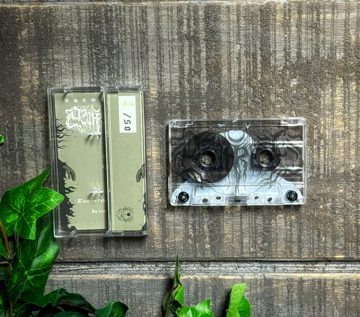 Harmisod | No Sun Rises