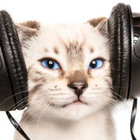 i felt like a sketch | key vs. locket