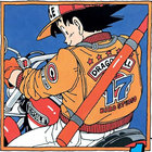 Wintersaga | Wind Rose