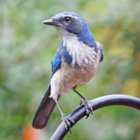 Together Through Time | TWRP