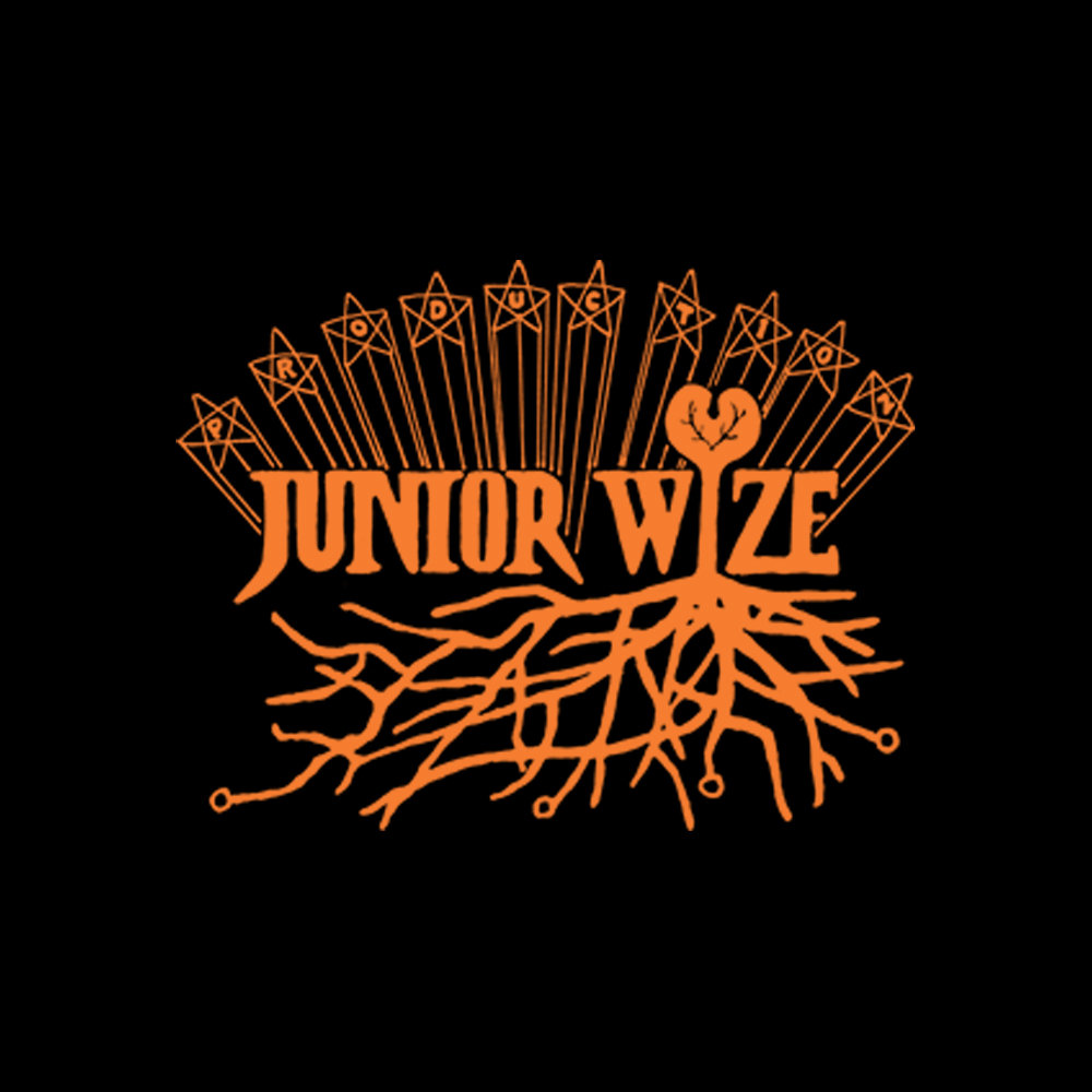 The Divine Sounds of Lion's Den | Various Artists | Junior Wize Production