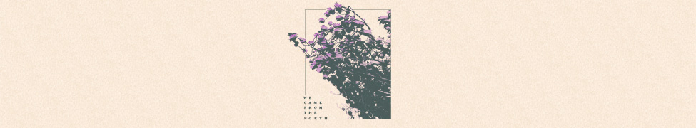 Faded Giant | We Came From The North