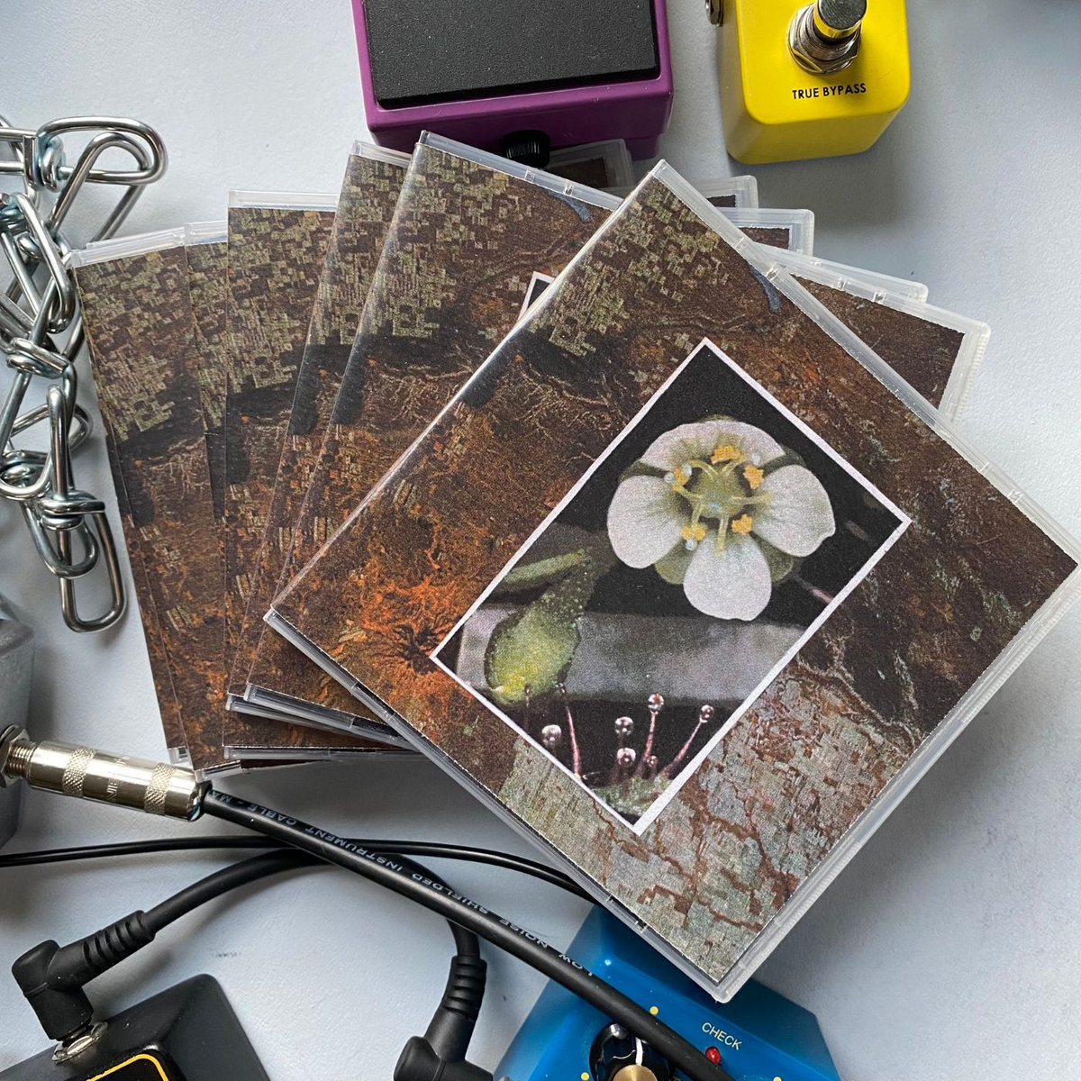World Without End | Faded Laurels | Isolated Incident