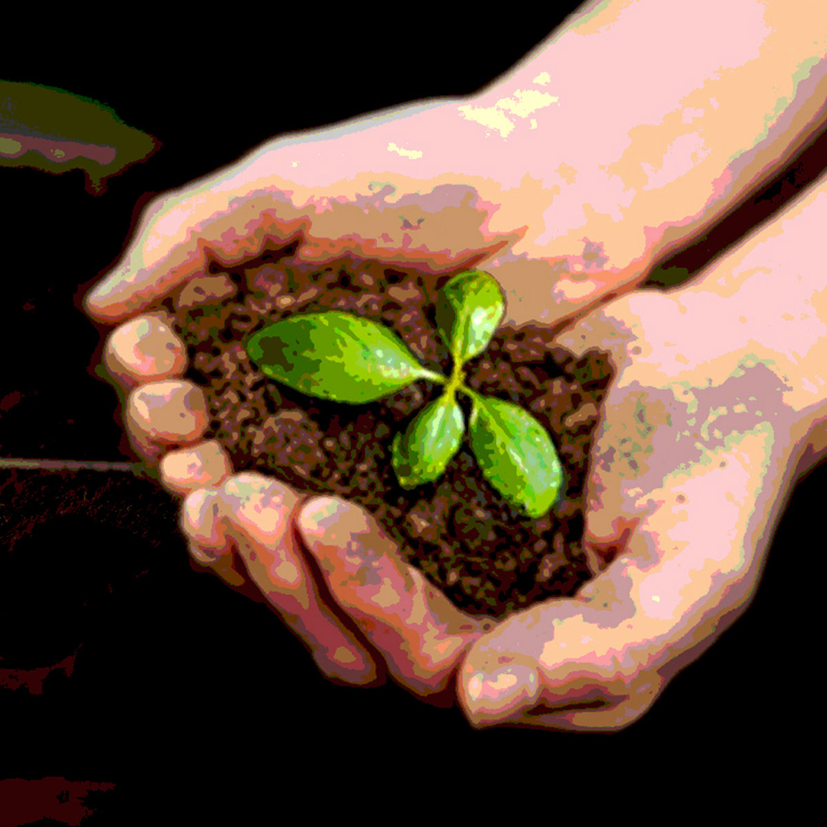 Transients Welcome | Claxton Clay