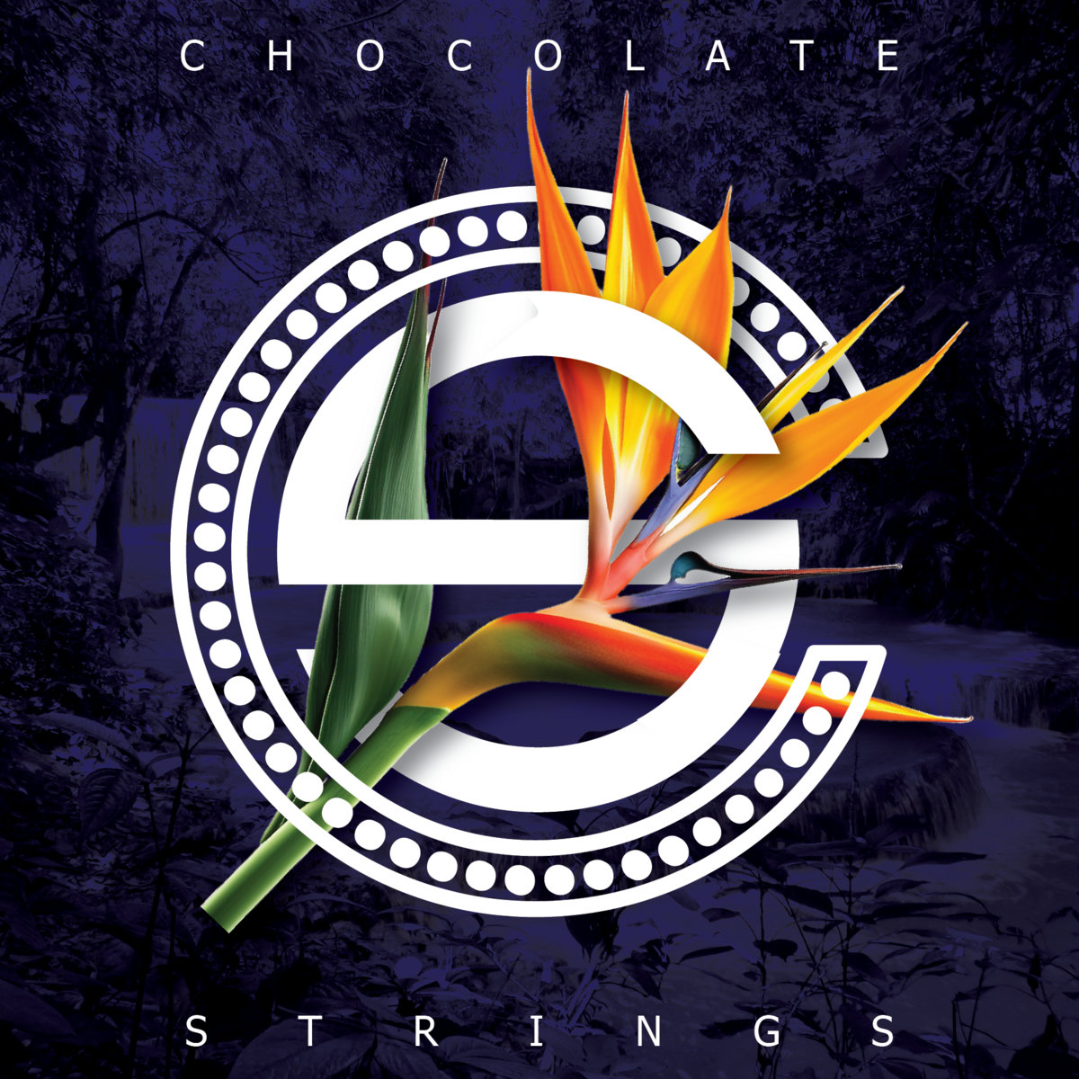 Music | Chocolate Strings