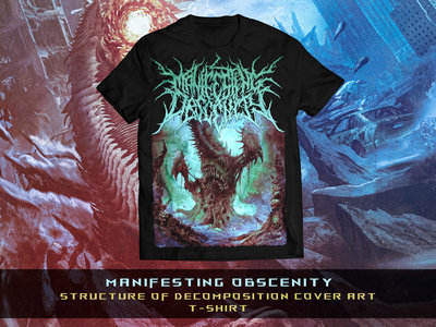 Structure of Decomposition Cover Art | Manifesting Obscenity