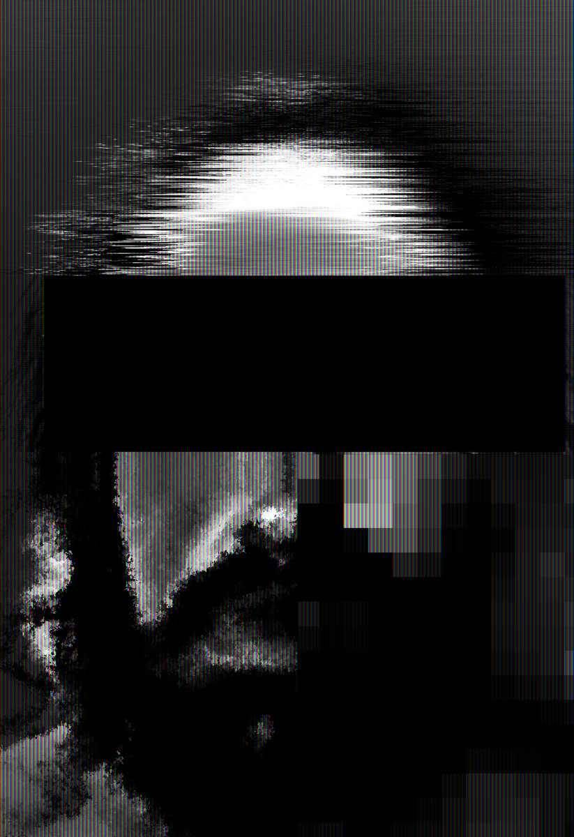 Morsu Insecti | SUB RUINAM