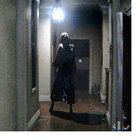 Del Oro | Floating Points