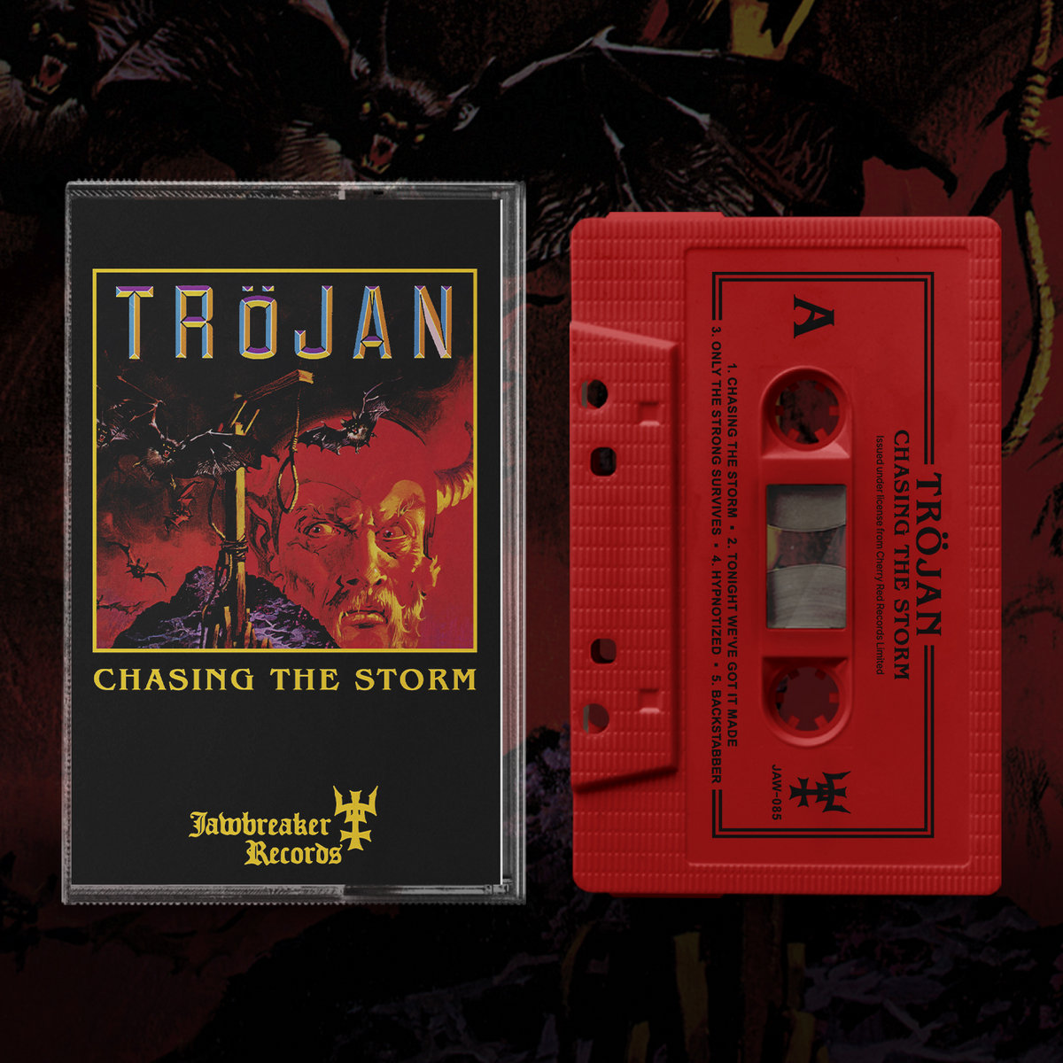 Chasing The Storm | Tröjan | Jawbreaker Records