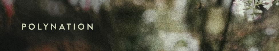 Bloom | Polynation