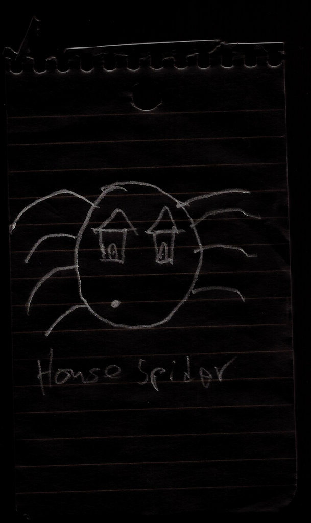 2013-2014 | Josh Diamond | josh diamond