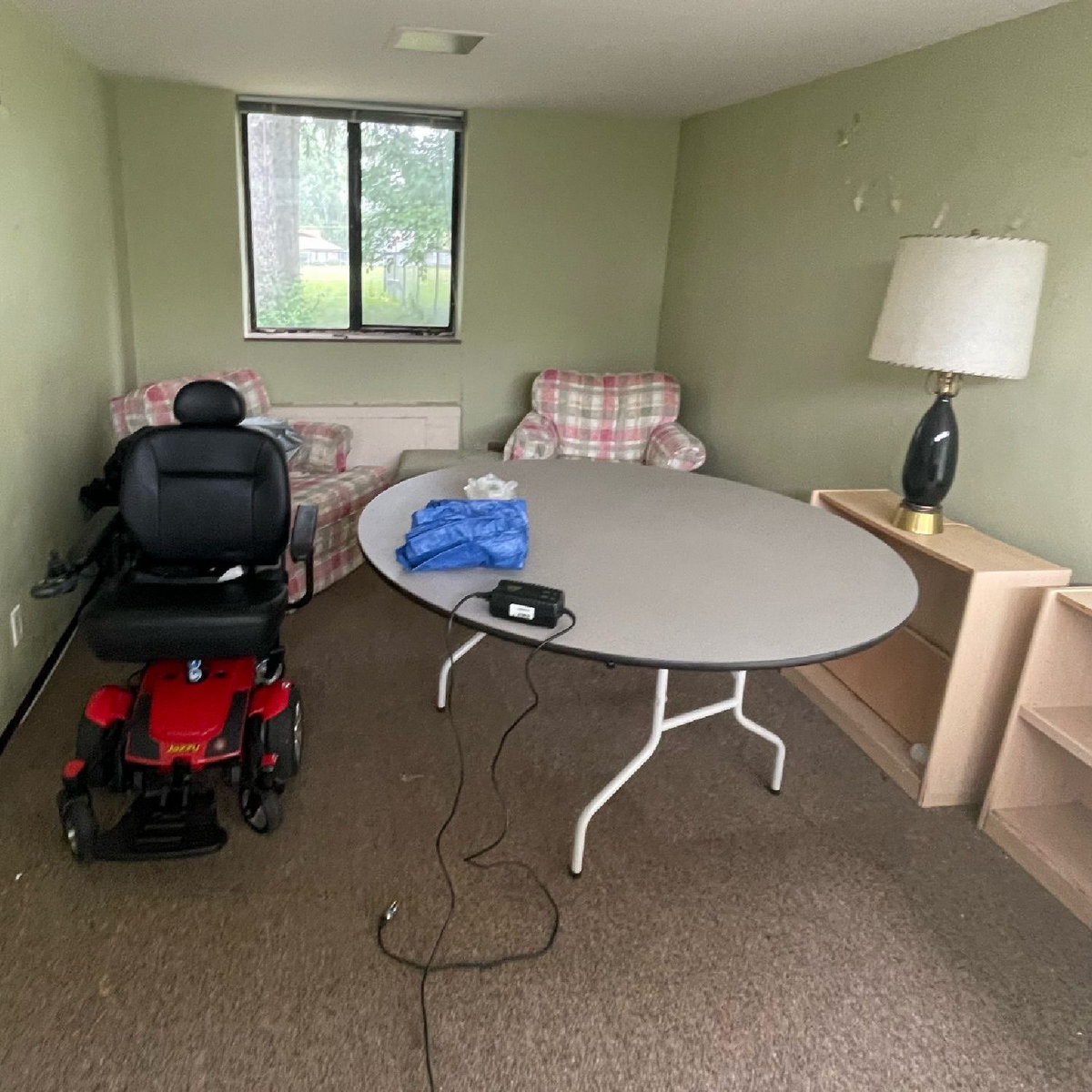 bird funeral. | bird funeral