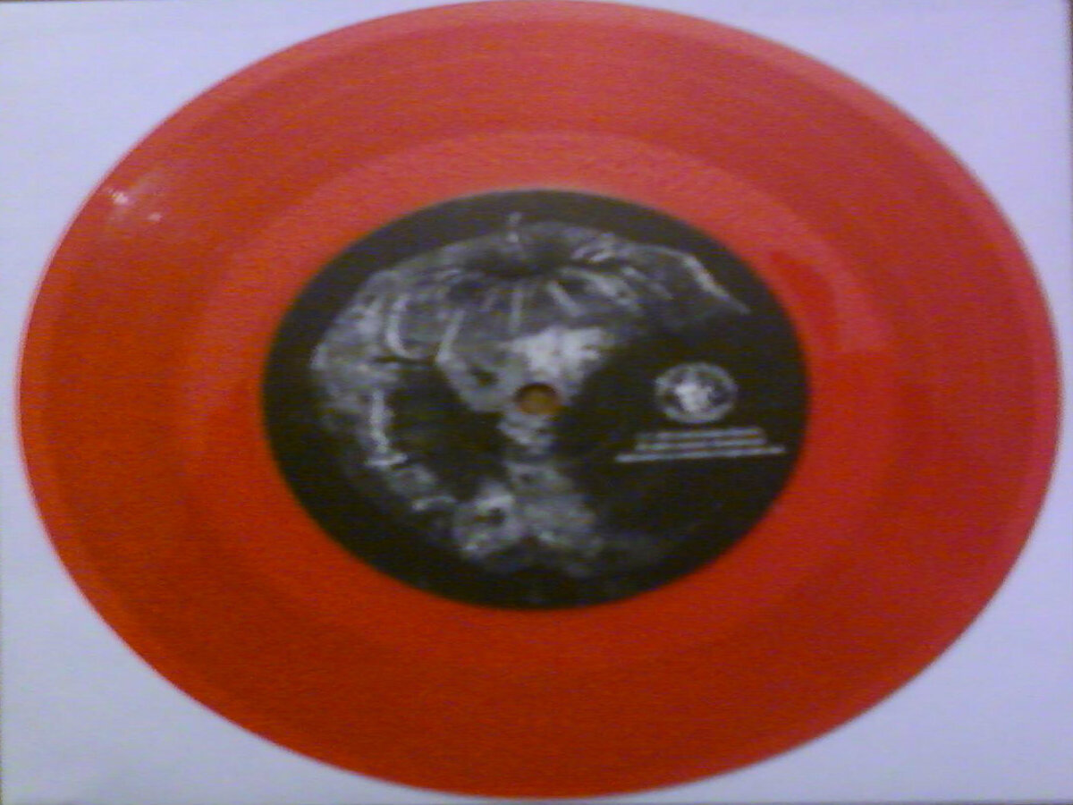 Bad Apple | DESENSITIZED | IRISH VOODOO RECORDS
