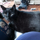 Bashed Out | This Is The Kit