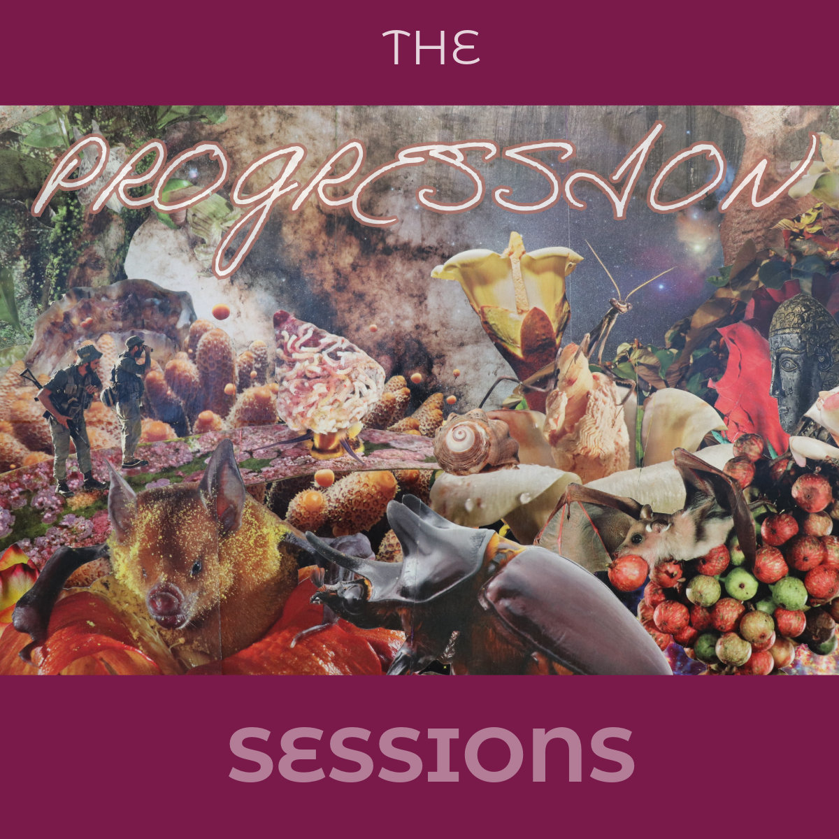 The Progression Sessions | The Progression Unit Students | The ...