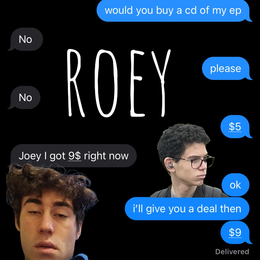 turd in a microwave | roey