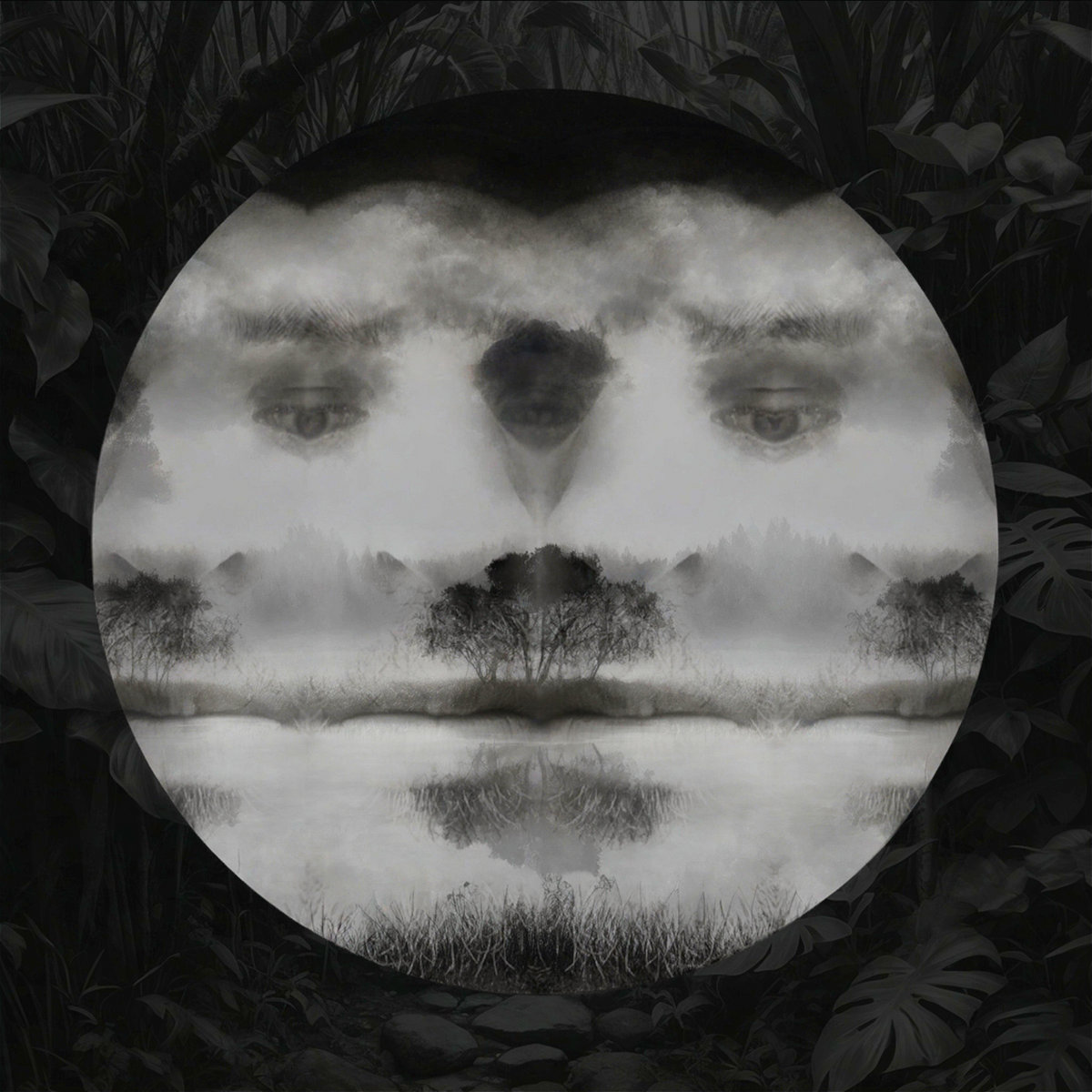 Split Single (Lux Inexistente y Christopher Pacheco) | El Tío Anárquico y Lxs Inoíbles