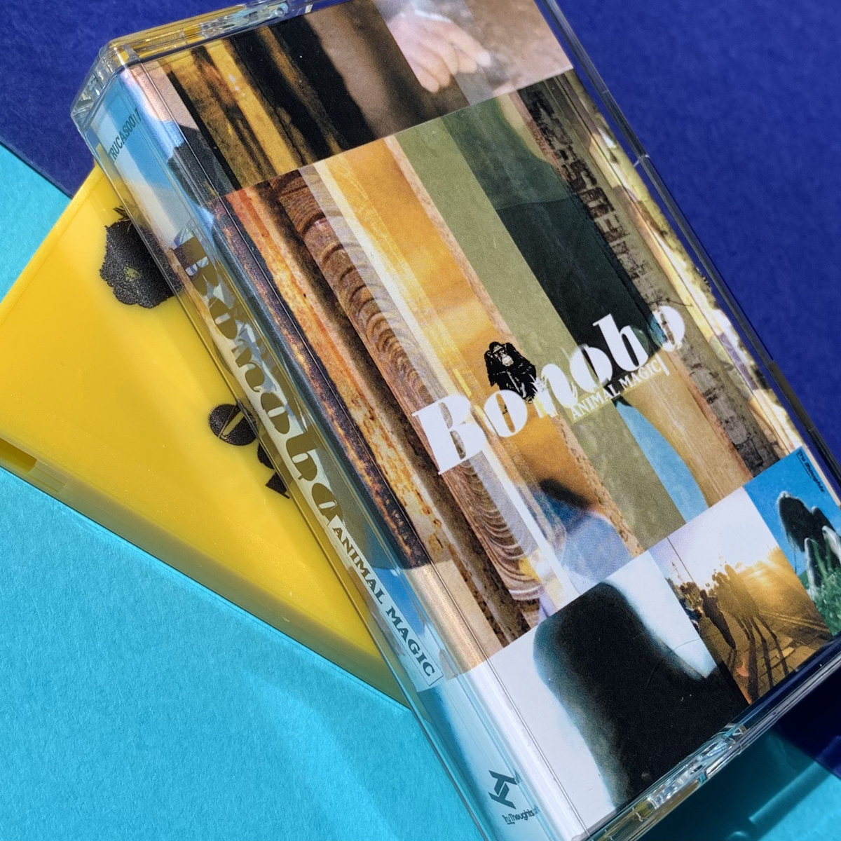 Animal Magic | Bonobo