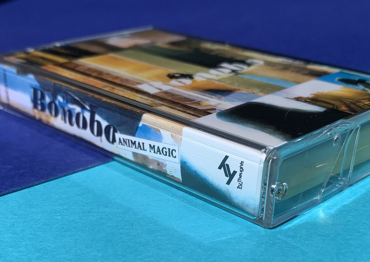 Animal Magic | Bonobo