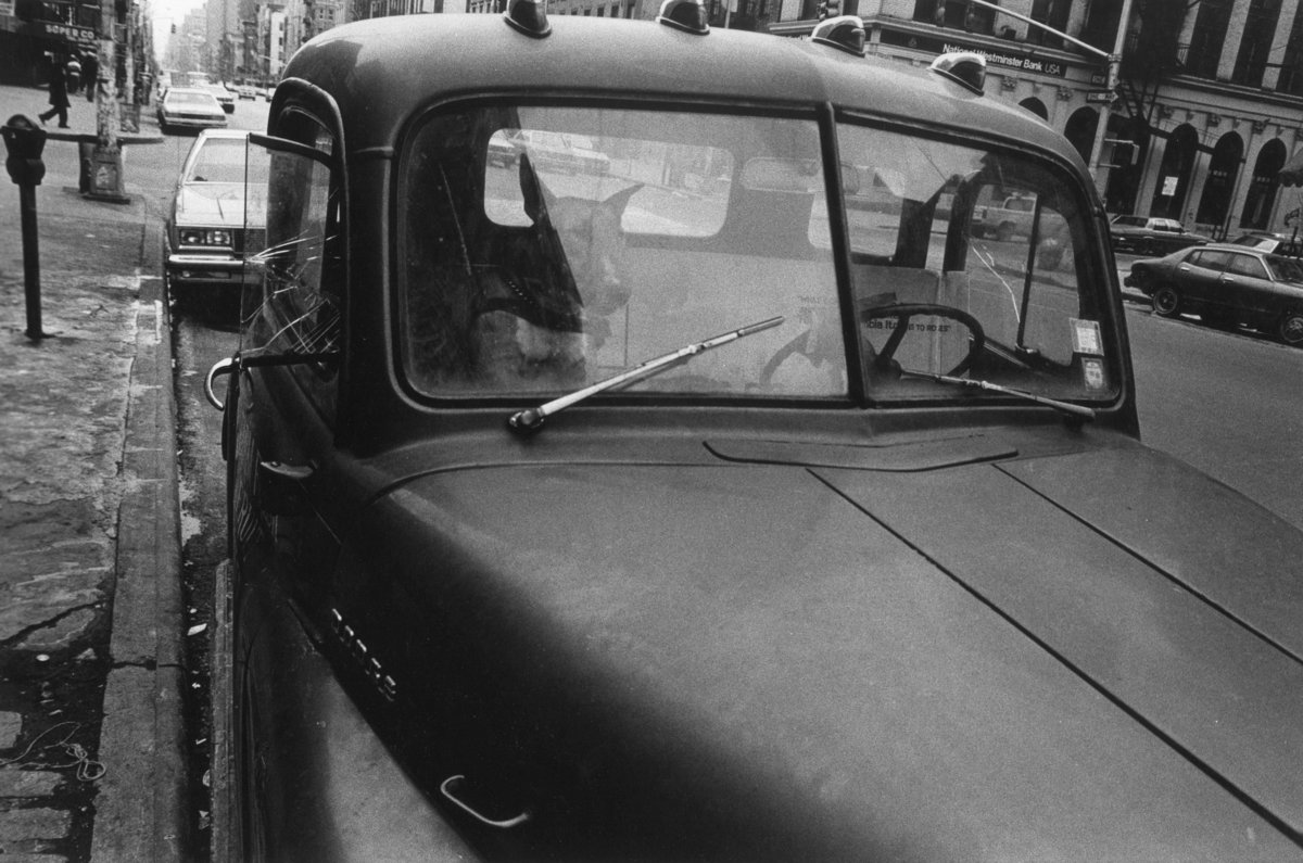 That Bird Always Comes Back | pete Simonelli | Aluminium Press