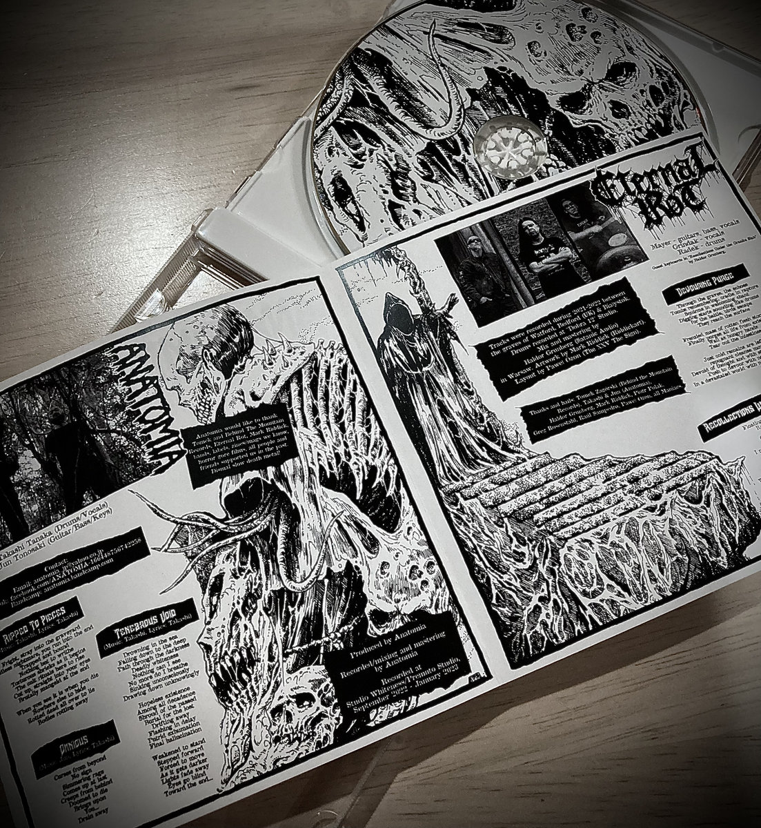 Split With ETERNAL ROT | ANATOMIA