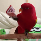 System Shock (Original Video Game Soundtrack) | Jonathan Peros | Nightdive Studios