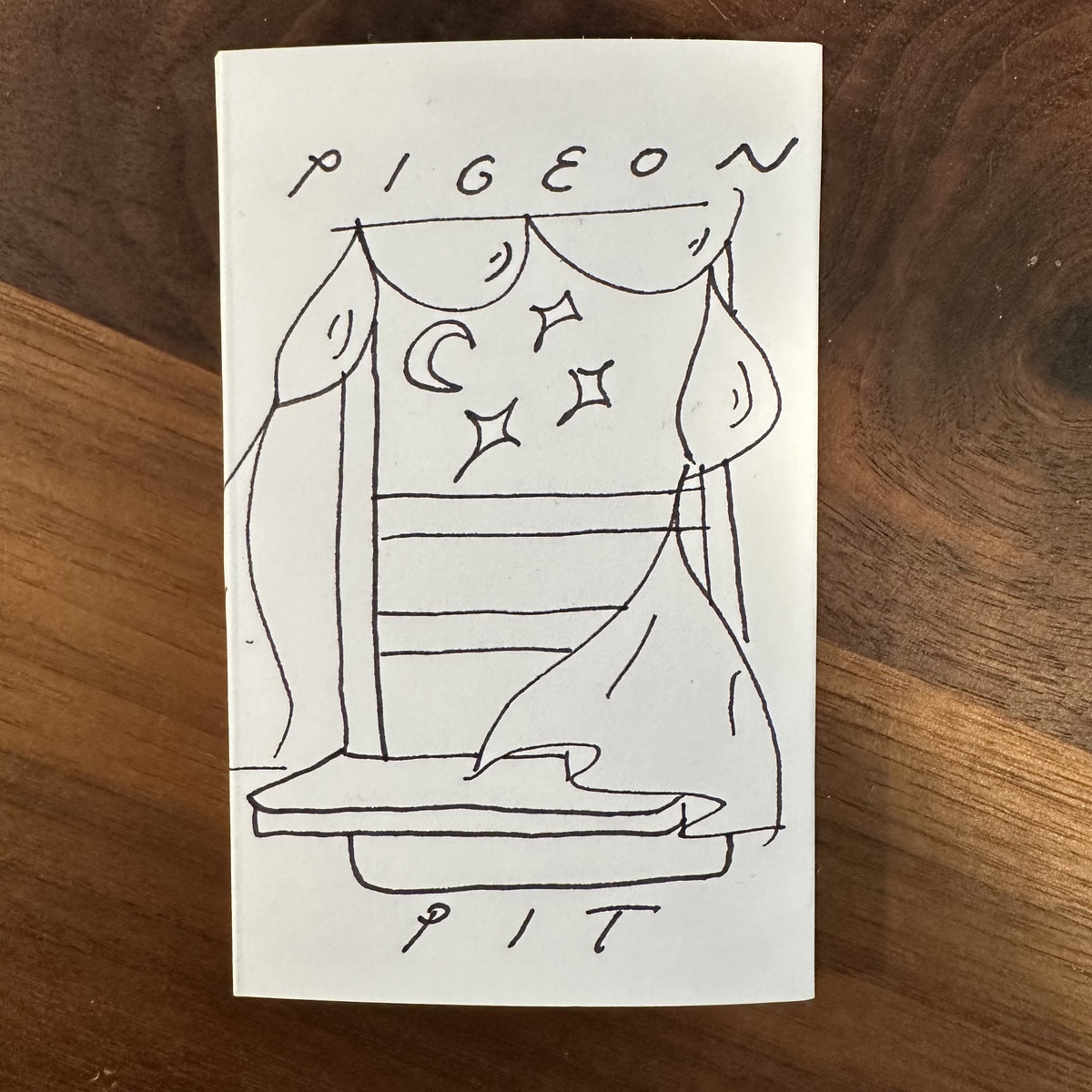 Spring '24 Tour Cassingle | pigeon pit