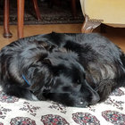 Every New Beginning | Kim Richey