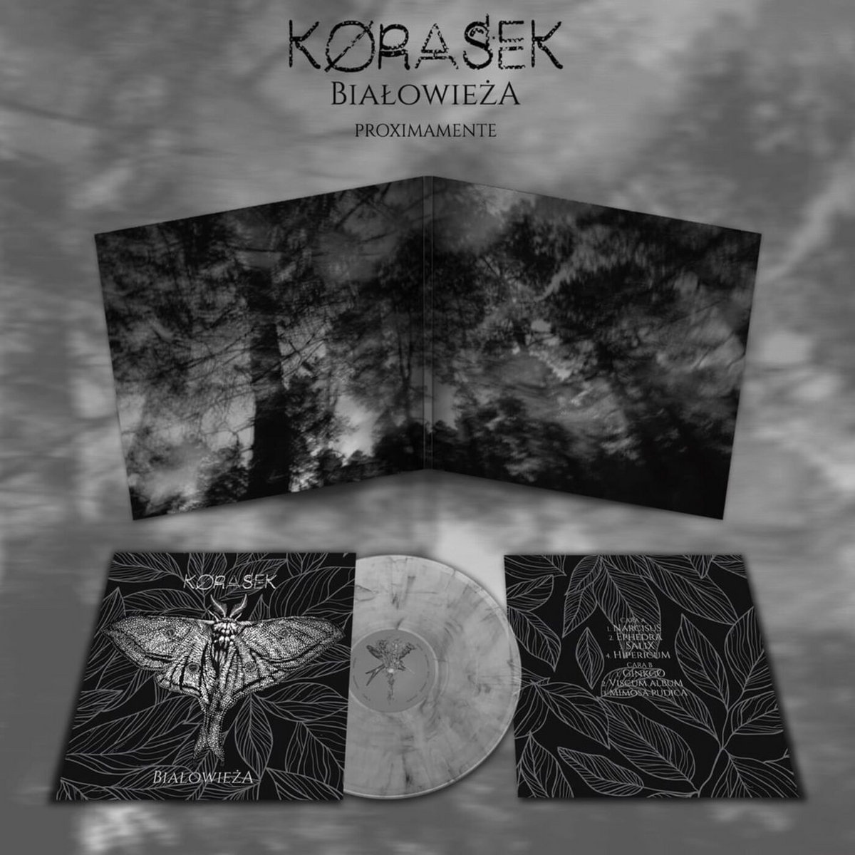 AZ#20 - Bia ł owie ż a | KORASEK | 1a0