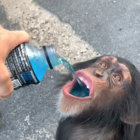 Budots World (Reloaded) | DJ Love (Sherwin Tuna) | Eastern Margins