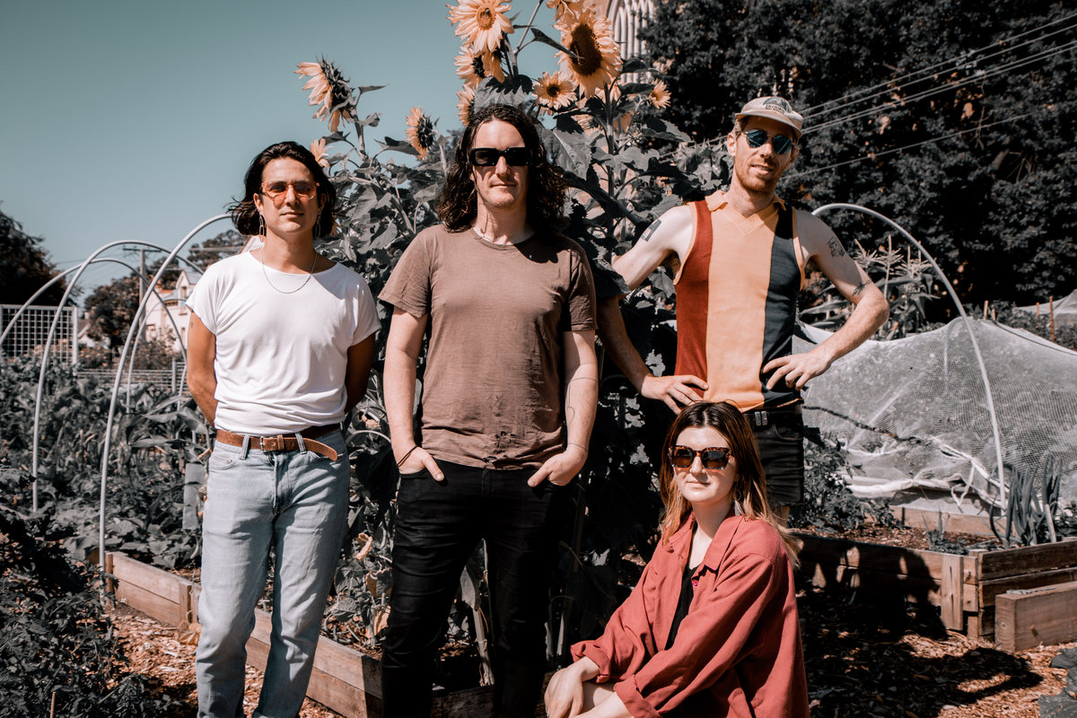 Dollarmites | RABBIT