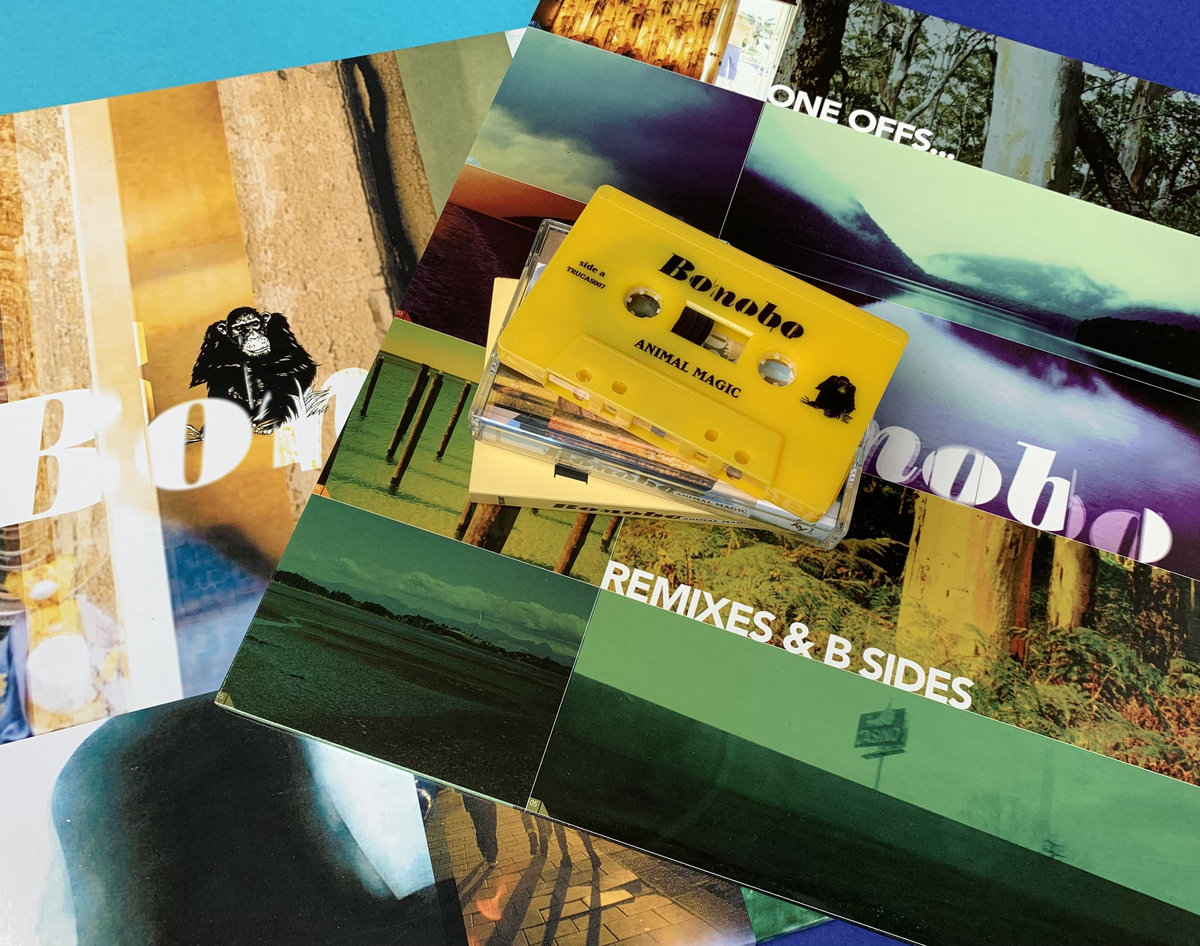 Animal Magic | Bonobo