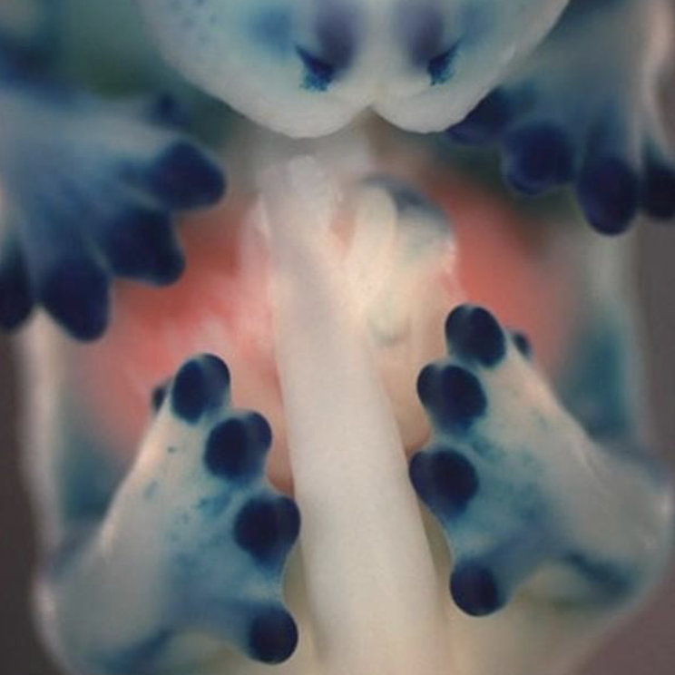 sf_han's collection | Bandcamp