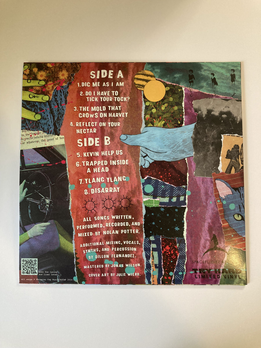 The Perils of Being Trapped Inside a Head | Nolan Potter