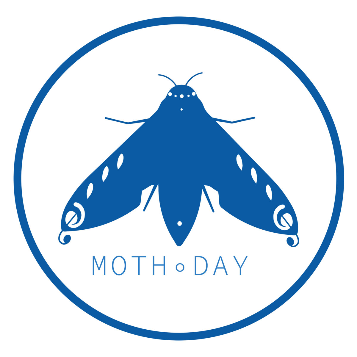 Ghostwriter | Yellow Belly | Moth Day Records