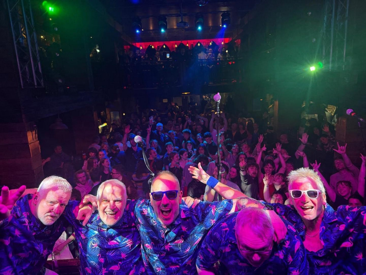 Play Doon the Rabbit Hole | The Gimme Gimme Gimmes