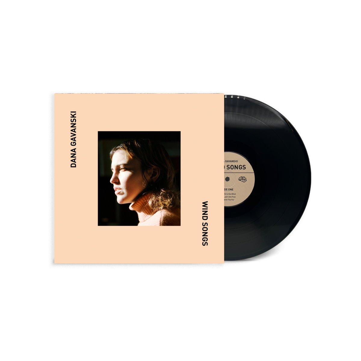 Wind Songs | Dana Gavanski