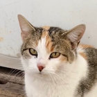 Everywhere at the end of time | The Caretaker