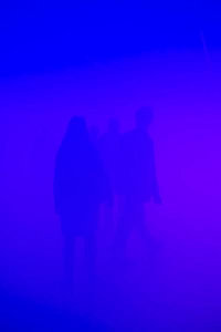 Music | The Kool Whips