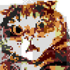 Warlocks Grim & Withered Hags | Hellripper