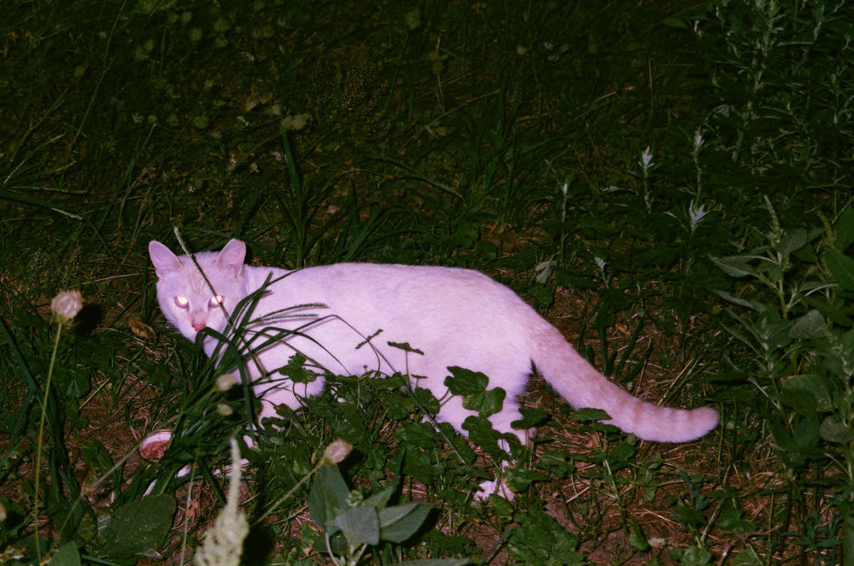 Aimer Perdre – Bande Originale Du Film | Simon Hanes