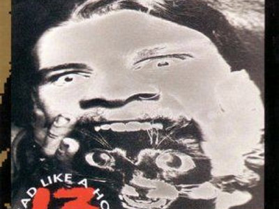 Classic 13 Album cover T-Shirt | Head Like A Hole