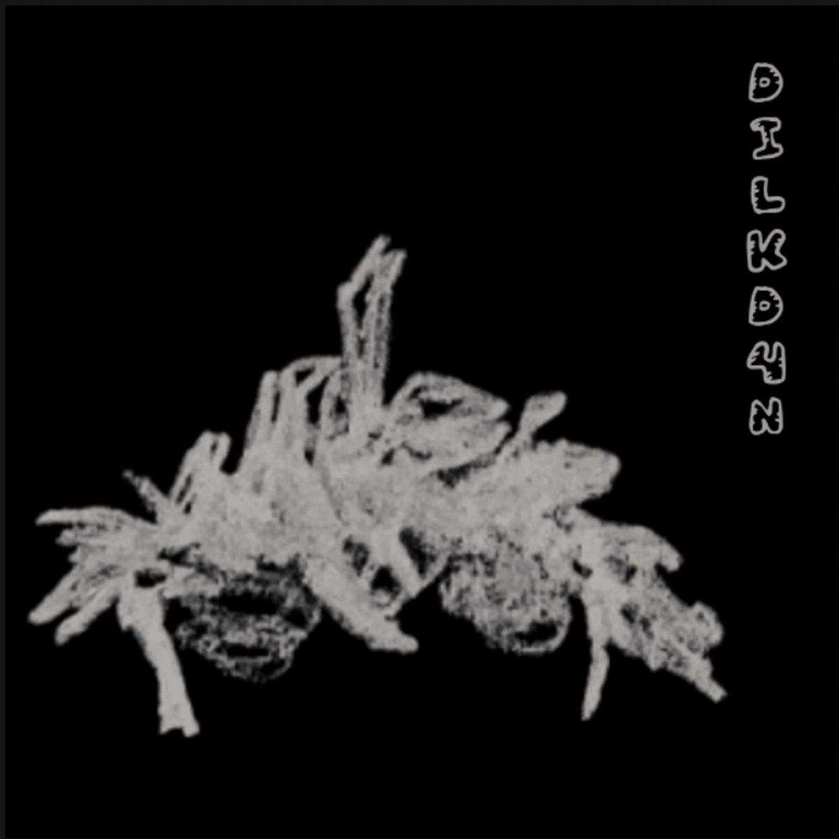 C.A.R.N.A.G.E. | d1lkd4n